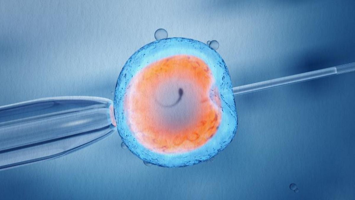 What is IVF? A Complete Beginner’s Guide to In Vitro Fertilisation